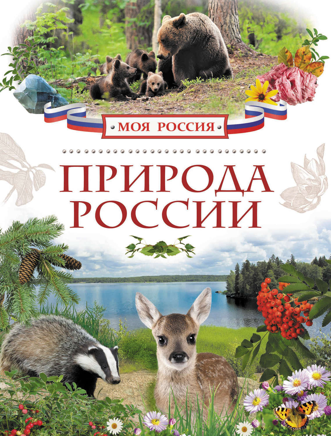 Книга С Фотографиями Природы — Mixyfotos.ru