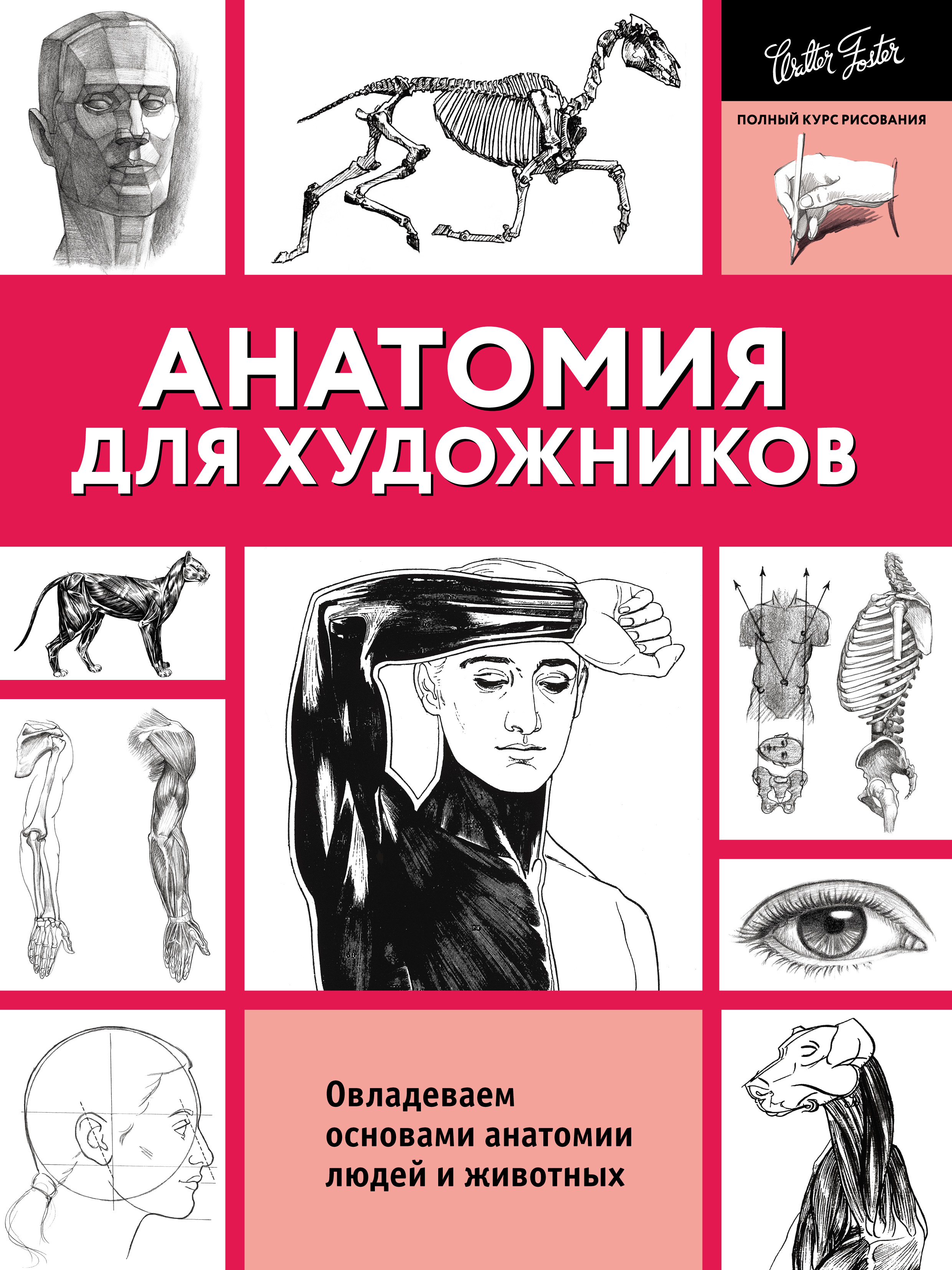 Отзывы о книге «Анатомия для художников», рецензии на книгу , рейтинг в ...